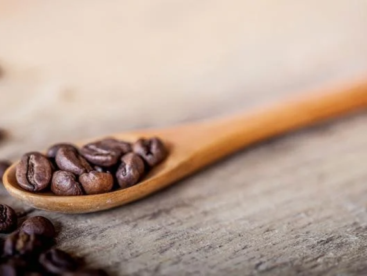 Marca BONKA® ESSENTIA® | Nestlé Professional