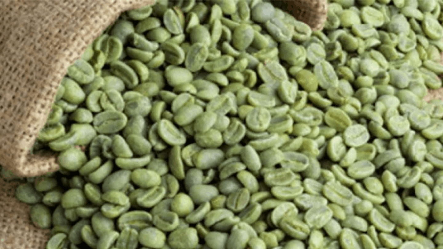 Propiedades del café verde y sus beneficios | Nestlé Professional